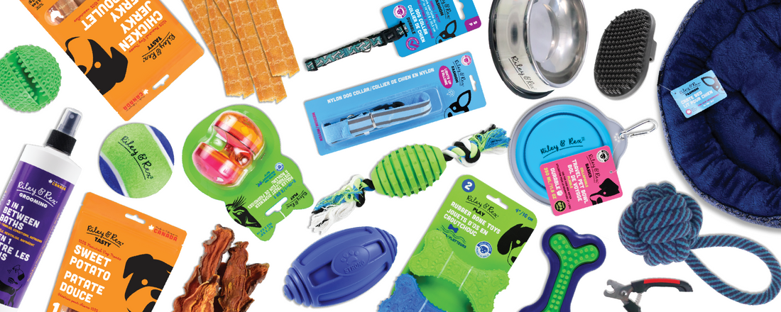 Grooming – Riley & Rex